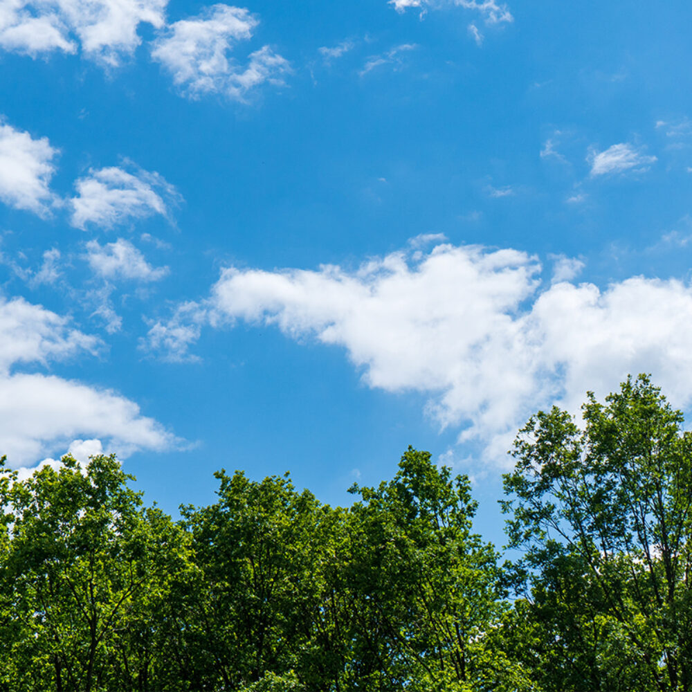 Dataquest - Trusted UK IT Solutions Provider