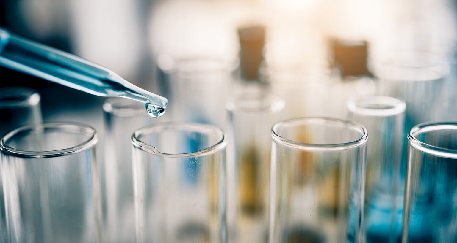 Case Study: Science Creates - Dataquest